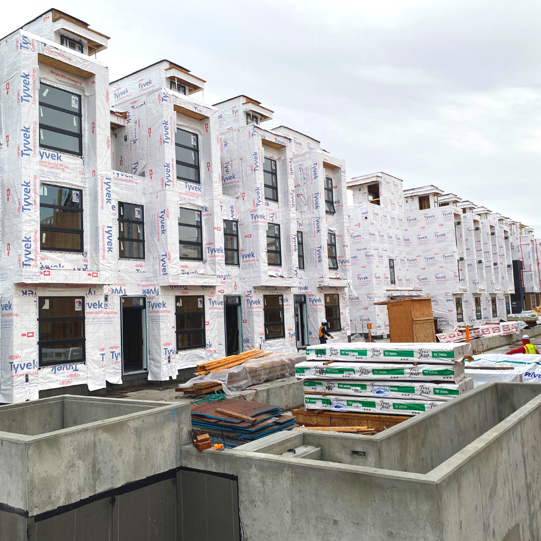 Kin Collection Update - January 2023 - Kin Collection